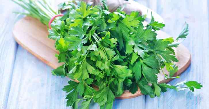 Jual Daun Parsley 100 Gram Murah - Update Harga Grosir Hari Ini | Blibli
