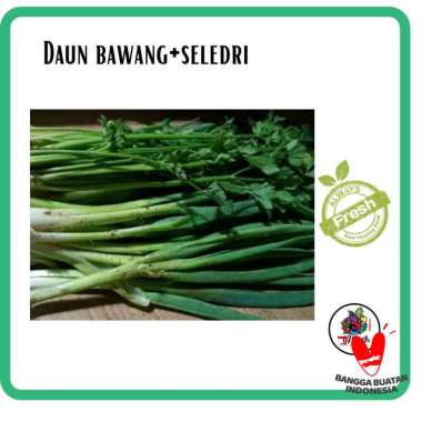 Jual Daun Bawang Sledri Termurah - Harga Grosir Terupdate Hari Ini | Blibli
