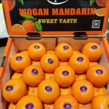 Jual Jeruk Wogan Mandarin Harga Grosir Juli 2024 - Blibli