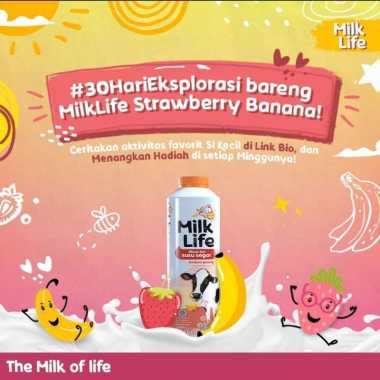 Jual Fresh Milk Life Strawberry Banana Termurah - Harga Grosir Terupdate Hari Ini | Blibli