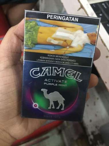 Jual Rokok Camel Purple Mint 20 Termurah - Harga Grosir Terupdate Hari ...