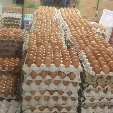 Jual Telur Ayam Per Rak Original Murah - Harga Diskon Desember 2022 ...