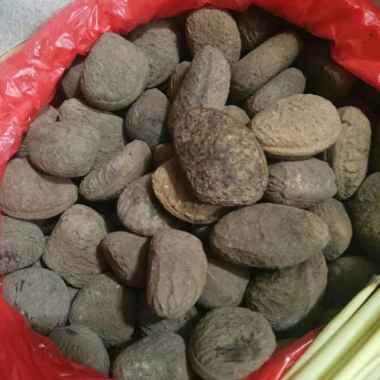 Jual Kluwak 1 Kg Terbaru - Harga Promo Mei 2023 | Blibli