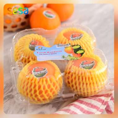 Jual Jeruk Wogan Mandarin Harga Grosir Juli 2024 - Blibli