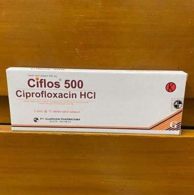 Ciprofloxacin 500 Mg 10 Tablet Lengkap Harga Terbaru September 2022 ...