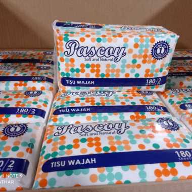 Jual Tissu Pascoy 180 Termurah - Harga Grosir Terupdate Hari Ini | Blibli