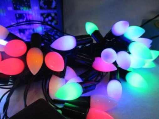 Jual Lampu Cabe Yang Panjang Original Murah - Harga Diskon Juli 2023 ...