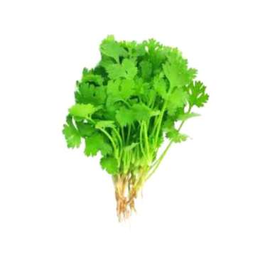Jual Daun Sop Seledri Termurah - Harga Grosir Terupdate Hari Ini | Blibli
