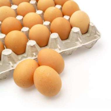 Jual 1 Butir Telur Terbaik Januari 2022 - Harga Murah & Gratis Ongkir ...