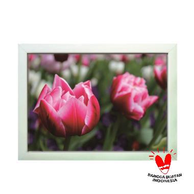 Cari Background Bunga Mawar Untuk Power Point