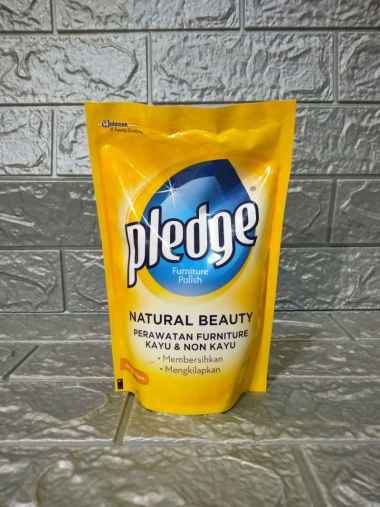 Jual Pladge Pump Termurah - Harga Grosir Terupdate Hari Ini | Blibli