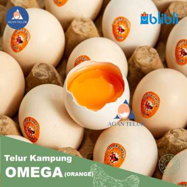 Jual Telor Ayam Ayam Kampung Omega 3 Termurah - Harga Grosir Terupdate Hari Ini | Blibli