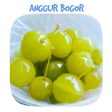 Jual Buah Anggur Murah - Harga Grosir Juni 2024 | Blibli