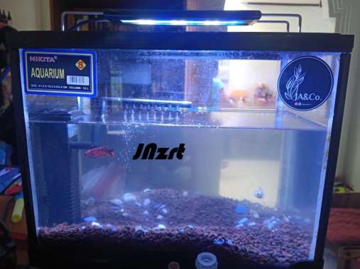 Jual Akuarium Yang Paling Kecil Original Murah - Harga Diskon Desember ...