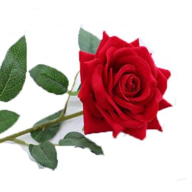 24+ Bunga Mawar Dan Tangkainya - Gambar Bunga Indah