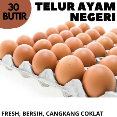 Jual 1 Butir Telur Omega Termurah - Harga Grosir Terupdate Hari Ini ...