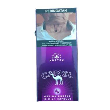Jual Camel Purple 1 Bungkus Murah - Update Harga Grosir Hari Ini | Blibli