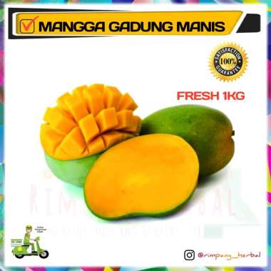 Promo Kolang-Kaling / Buah Aren / Buah Atep / Size Jumbo / Fresh 1Kg di ...