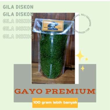 Jual Gayo Rokok Termurah - Harga Grosir Terupdate Hari Ini | Blibli