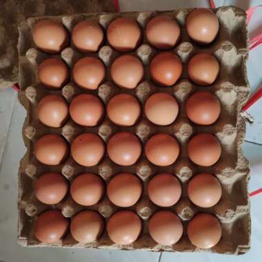 Jual Telur Ayam Negeri 1 kg (isi 15-17 butir) Halal di Seller Amalia ...