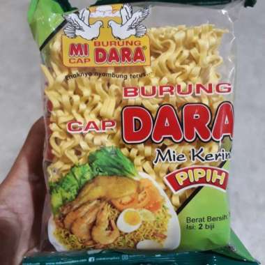 Jual Burung Parrotlwt Original Murah - Harga Diskon Mei 2023 | Blibli.com