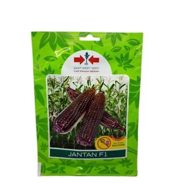 Jual Benih Panah Merah Jagung 💯 Harga Murah & Kualitas Terbaik Juni 2026