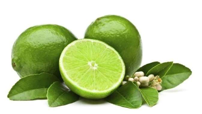 Jual Jeruk Nipis Segar 1 Kg Termurah - Harga Grosir Terupdate Hari Ini ...