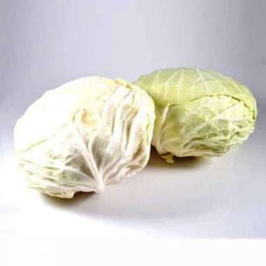 Kol Putih - Harga Termurah Agustus 2021 | Blibli