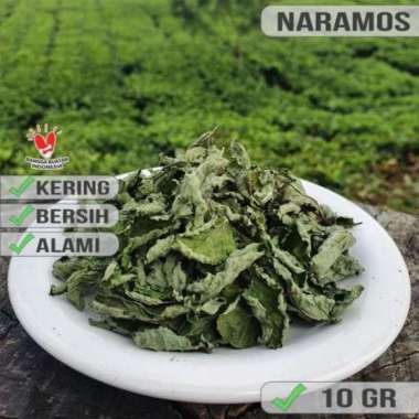 Daun Peppermint Lengkap Harga Terbaru Januari 2023 | Blibli