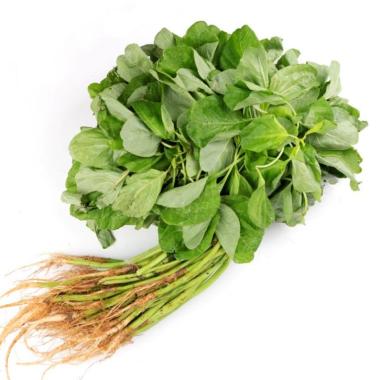 Jual Sayur Bayam di Tangerang - Gratis Ongkir & Harga Murah 2022 | Blibli