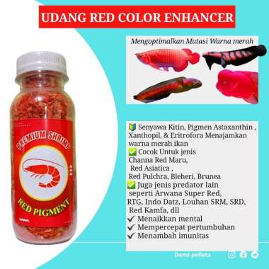 Jual Ikan Arwana Blue Base Original Murah - Harga Diskon Mei 2023 ...