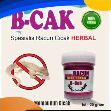 Jual Cecak Racun Original Murah - Harga Diskon Desember 2022 | Blibli.com