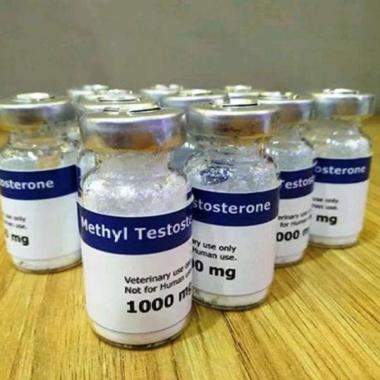 Jual Alpha Methyl Testosterone Original Murah - Harga Diskon Agustus ...