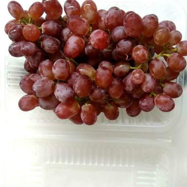 Jual Buah Anggur Harga Original Murah - Harga Diskon Desember 2022 ...