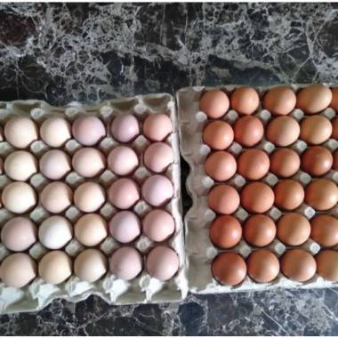 Jual Telur Ayam Negeri [1 kg] - Telor Ayam di Seller Toko berkah az ...