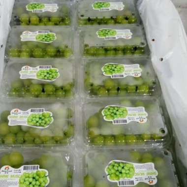 Buah Anggur Hijau