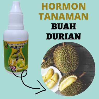 Jual Pupuk Durian Agar Cepat Berbuah Original Murah - Harga Diskon Oktober 2023 | Blibli.com
