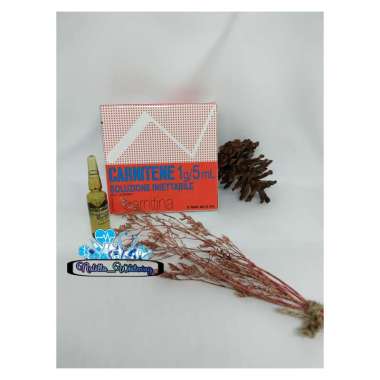 L Carnitine Injeksi Lengkap Harga Terbaru April 2023 | Blibli