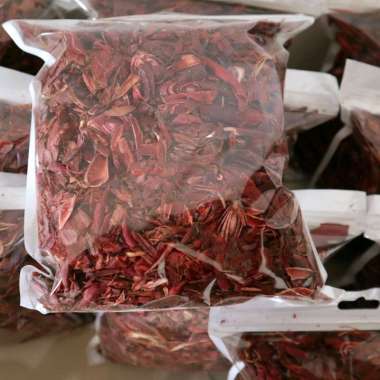 Tanaman Bawang Dayak Lengkap Harga Terbaru Agustus 2022 | Blibli