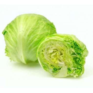 Jual Lettuce Head 250 Gram Terbaru - Harga Promo November 2023 | Blibli