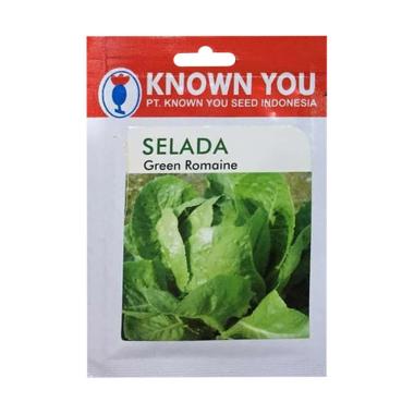 Jual Selada Romaine Lettuce Murah - Update Harga Grosir Hari Ini | Blibli