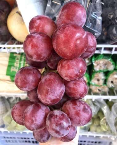 Jual Anggur Merah Peru Termurah - Harga Grosir Terupdate Hari Ini | Blibli