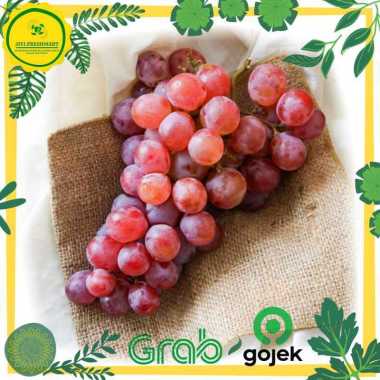 Jual Anggur 20 Red 20 Globe Original Murah - Harga Diskon Mei 2023 ...