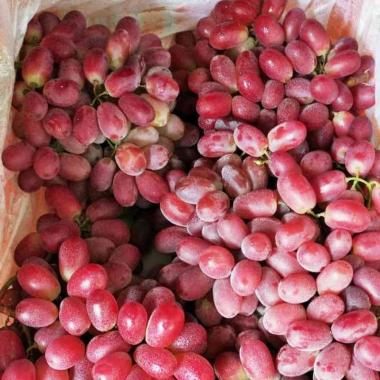 Jual Harga Buah Anggur Merah Lengkap Harga November 2022 | Blibli