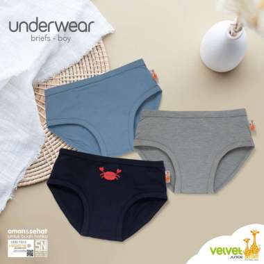 Jual Velvet Junior Brief Harga Termurah Dan Terlengkap 2022 | Blibli