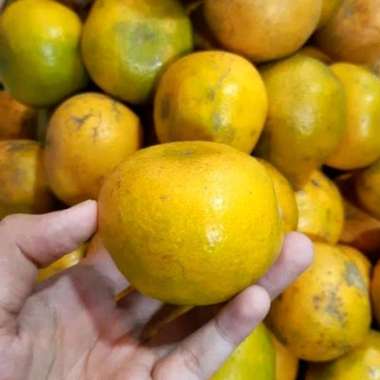 Harga Buah Jeruk Terbaru Juli 2022 | Blibli