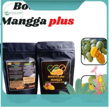 Jual Pupuk Pelebat Buah Mangga Original Murah - Harga Diskon Juli 2023 | Blibli.com