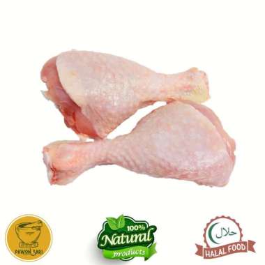 Jual Pentul Ayam Termurah - Harga Grosir Terupdate Hari Ini | Blibli