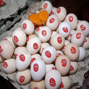 Jual Telur Ayam Kampung Omega Grade A Termurah - Harga Grosir Terupdate ...