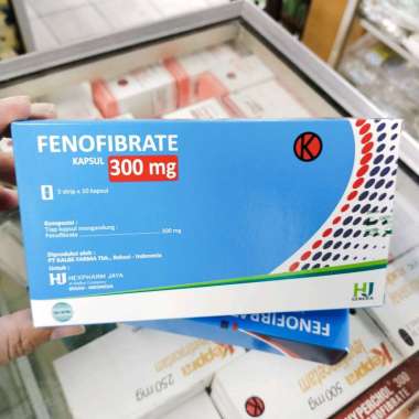 Fenofibrate 160 Lengkap Harga Terbaru Juni 2023 | Blibli